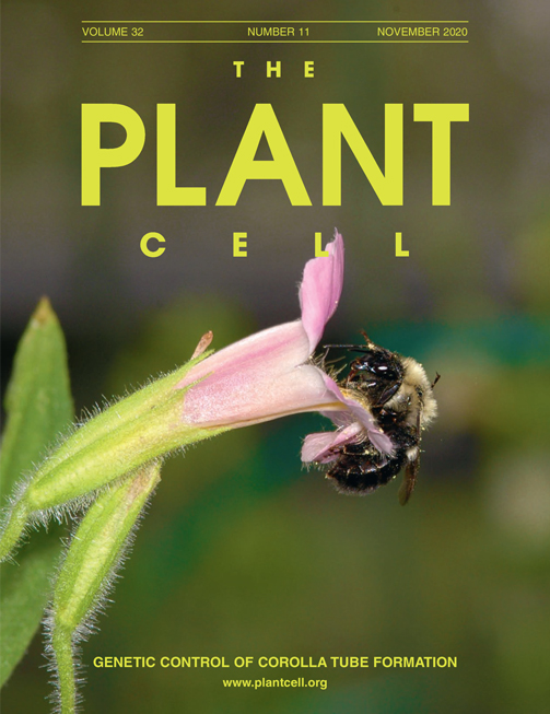 Publications | Yuan Laboratory: Genetics, Development, and Evolution ...